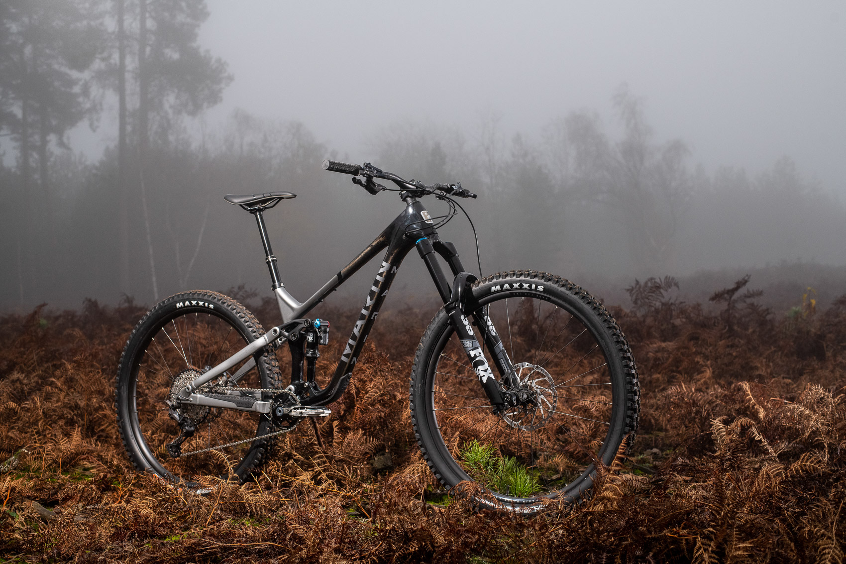 Dean Forest Cycles - family cycling and mountain bike hire