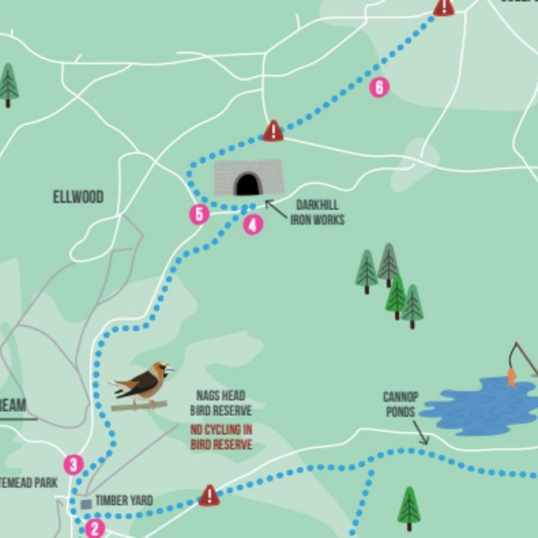 Family cycling in the Forest of Dean - Dean Forest Cycles