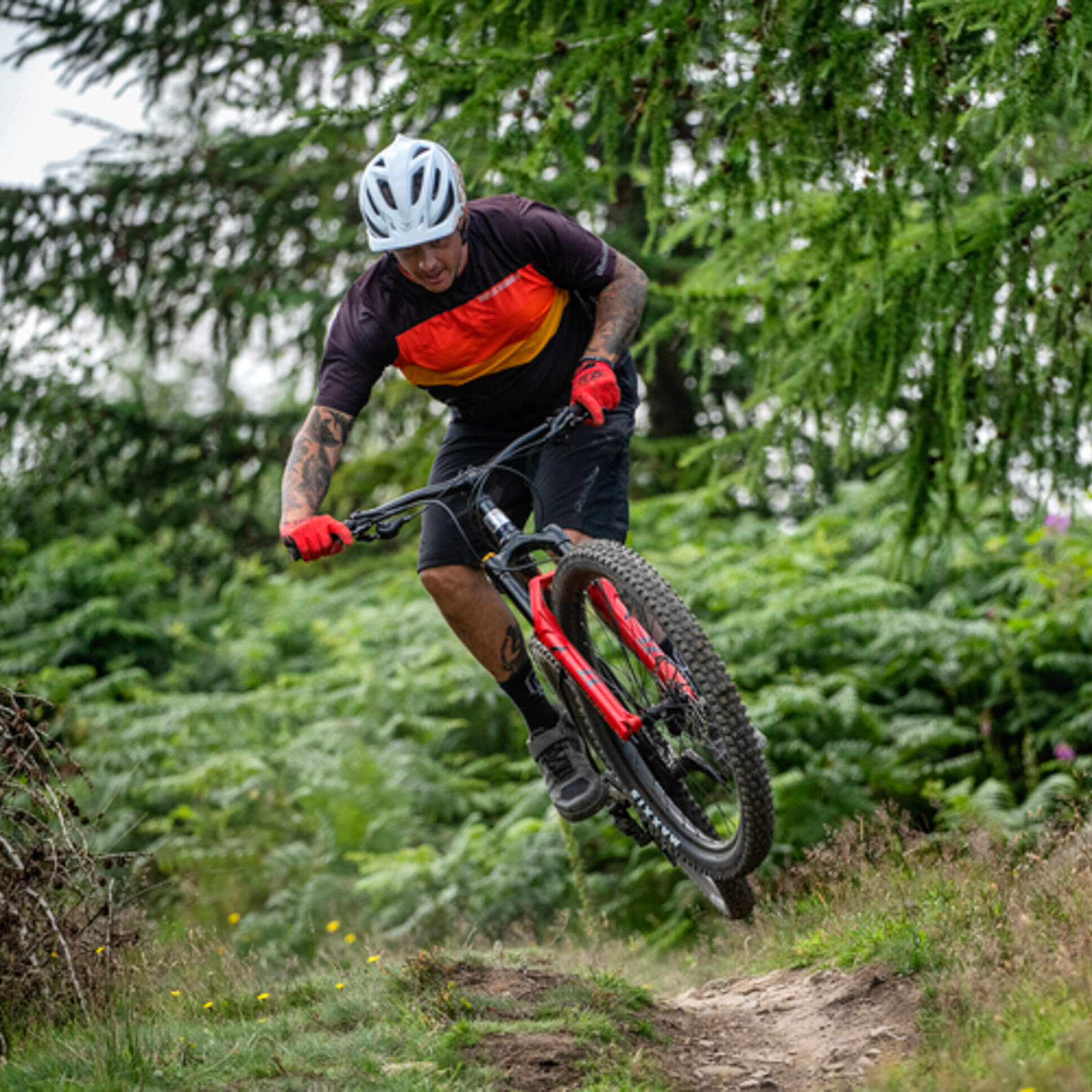 Hire a bike - Dean Forest Cycles