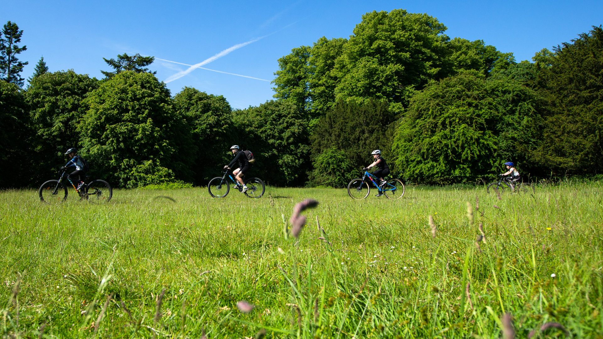 Dean Forest Cycles - family cycling and mountain bike hire