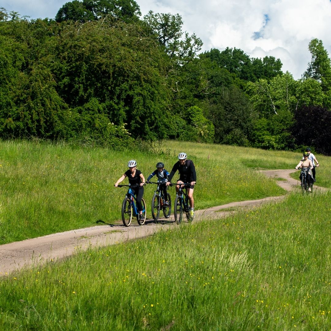 Dean Forest Cycles - family cycling and mountain bike hire