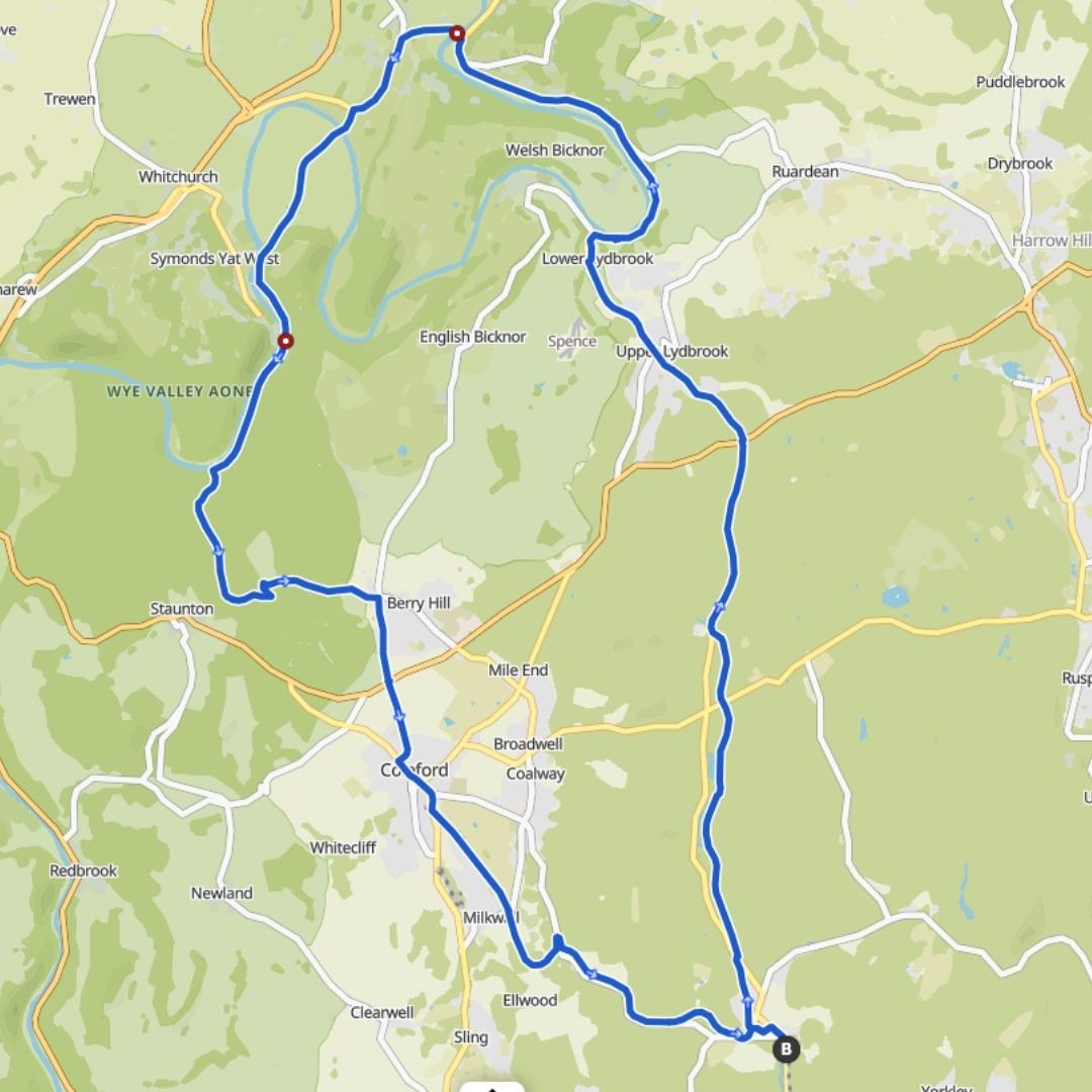 Gravel riding in the Forest of Dean - Dean Forest Cycles