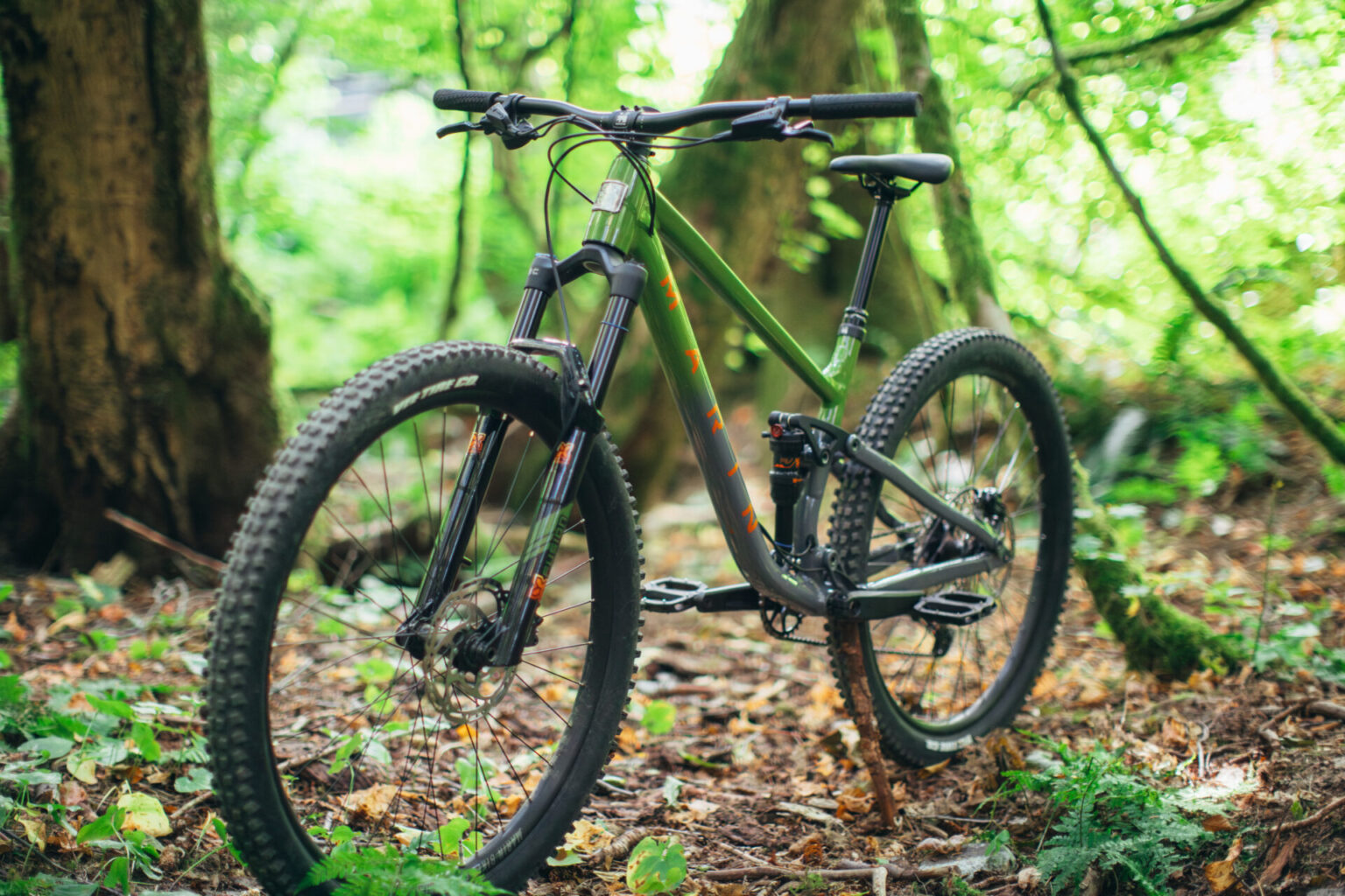Dean Forest Cycles - family cycling and mountain bike hire